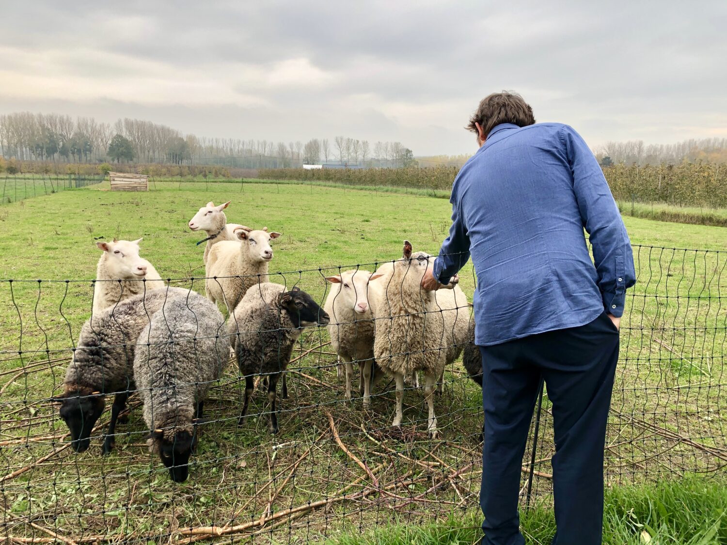 SCHRIJVERSPORTRET – Jef Aerts: ‘Schrijven is als schilderen met licht’ – 21bis
