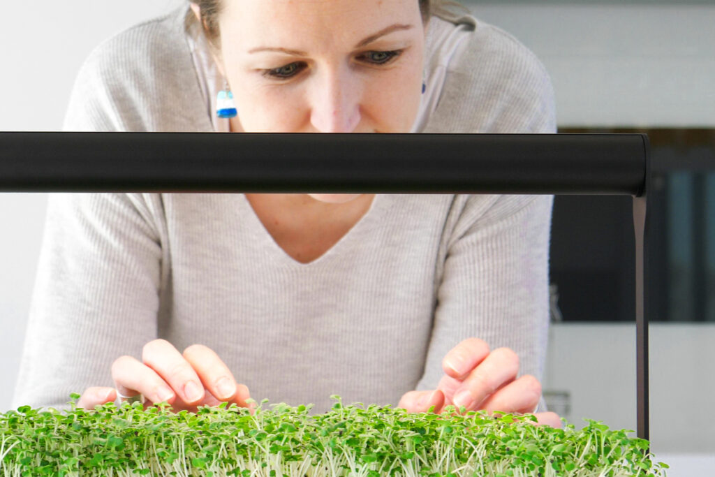 Microgroenten kweken in je eigen keuken – 21bis